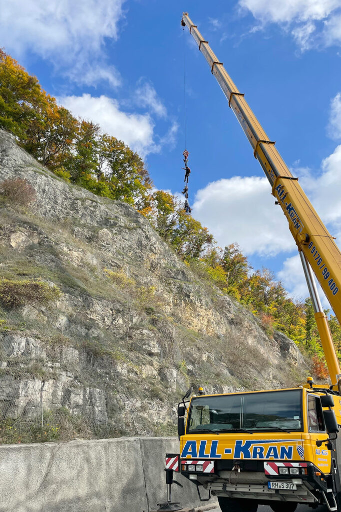 Baumfällungen – TreeTop Baumpflege GmbH Nürnberg