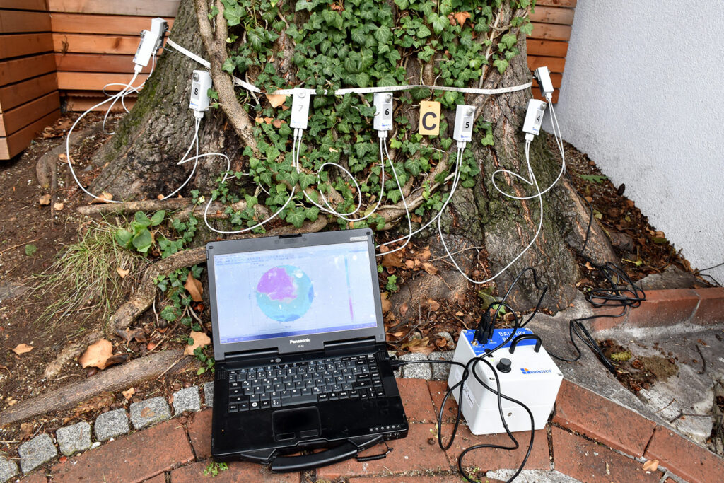 Baum-Gutachten – TreeTop Baumpflege GmbH Nürnberg