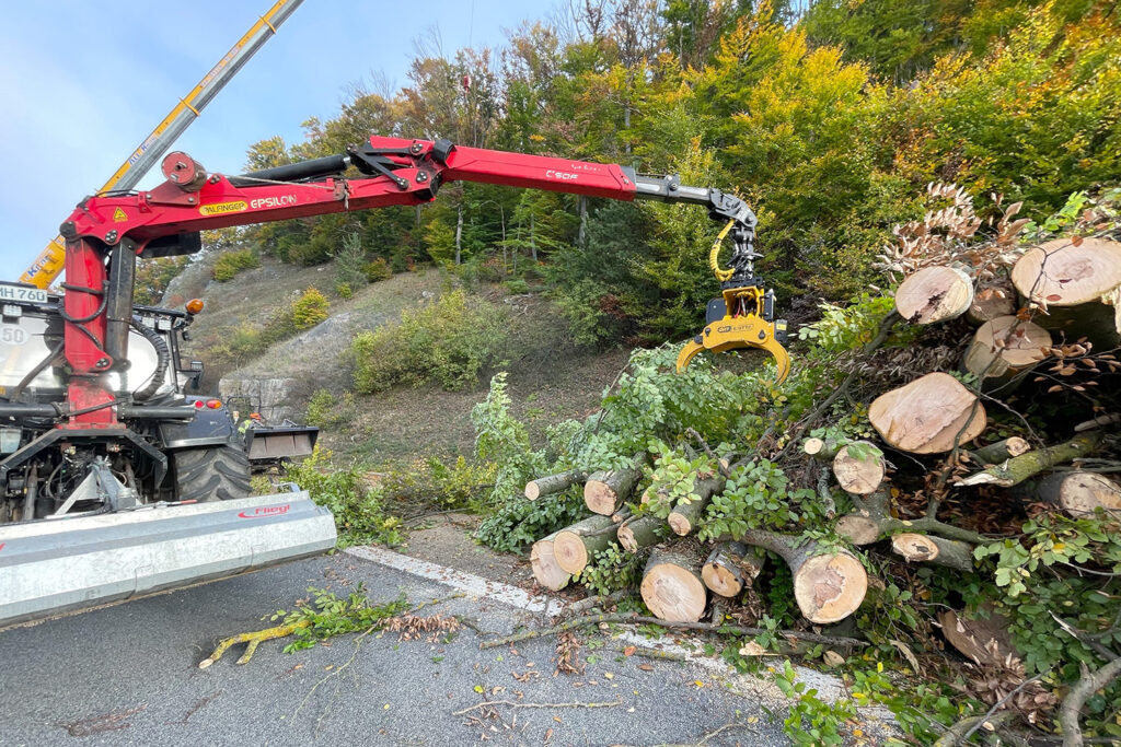 Baumpflege – TreeTop Baumpflege GmbH Nürnberg
