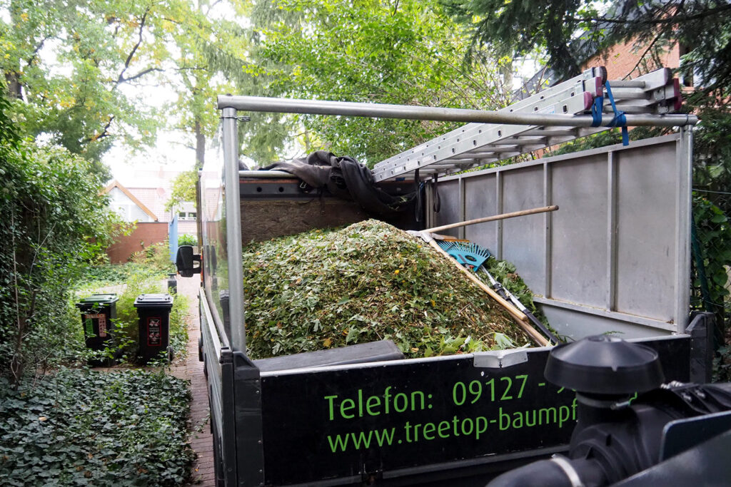 Baumpflege – TreeTop Baumpflege GmbH Nürnberg