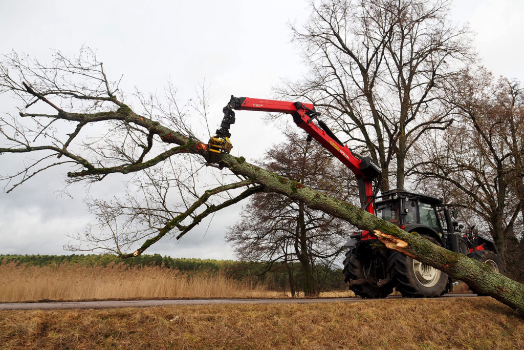 Baumpflege – TreeTop Baumpflege GmbH Nürnberg