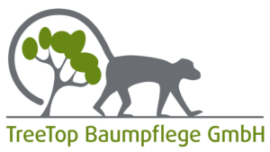 TreeTop Baumpflege GmbH Nürnberg – Baumpflege, Baumkontrolle, Baumfällungen, Baumgutachten ...