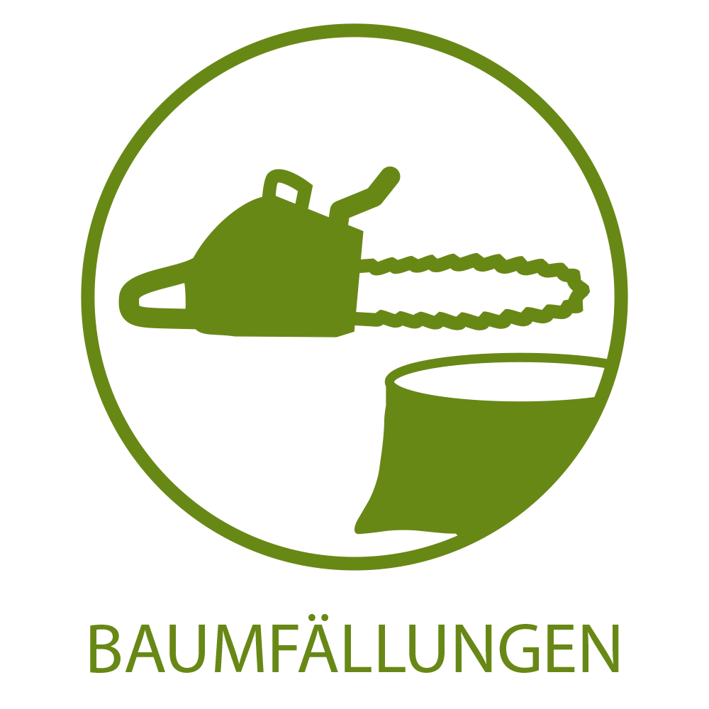 TreeTop Baumpflege GmbH Nürnberg – Baumpflege, Baumkontrolle, Baumfällungen, Baumgutachten ...