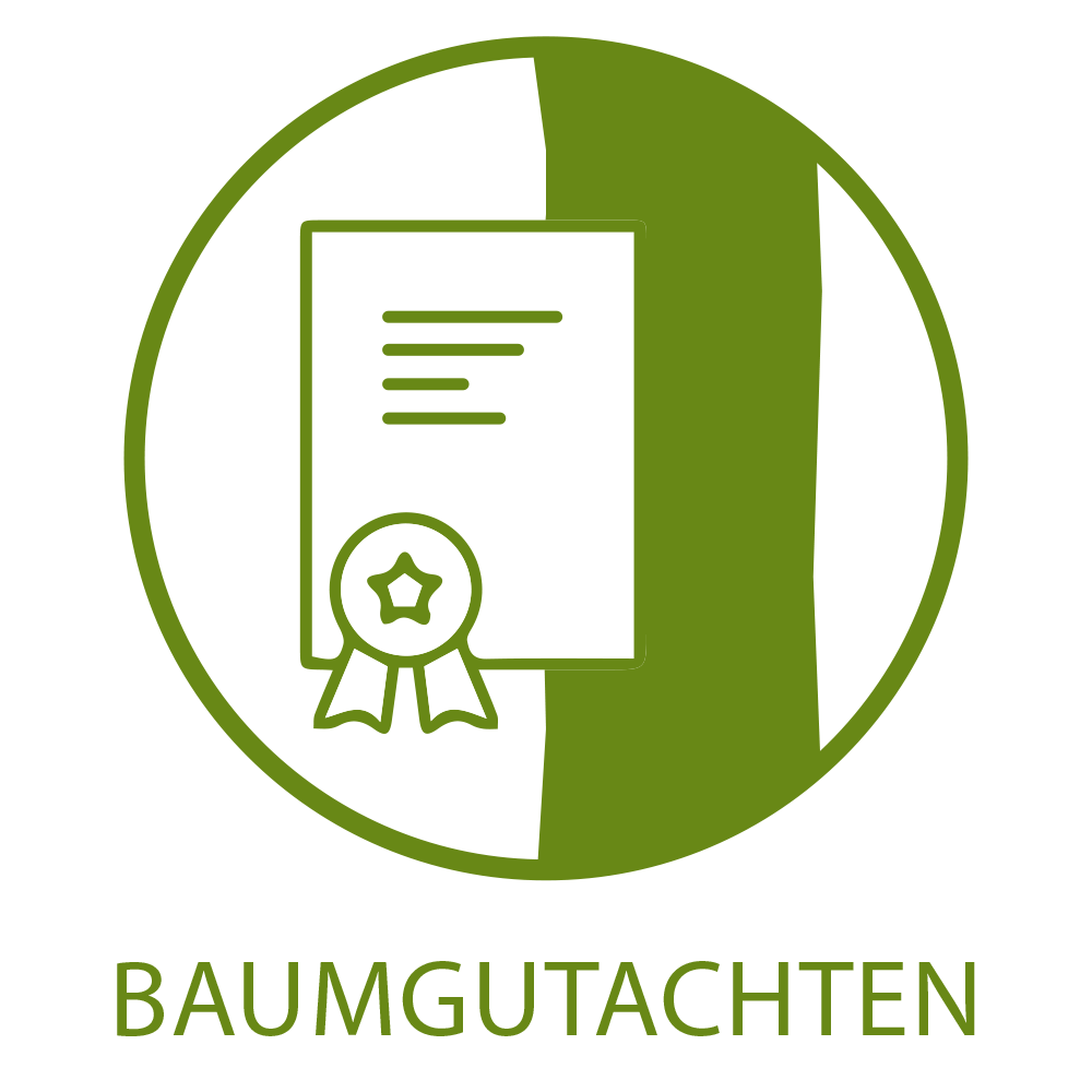Baum-Gutachten – TreeTop Baumpflege GmbH Nürnberg