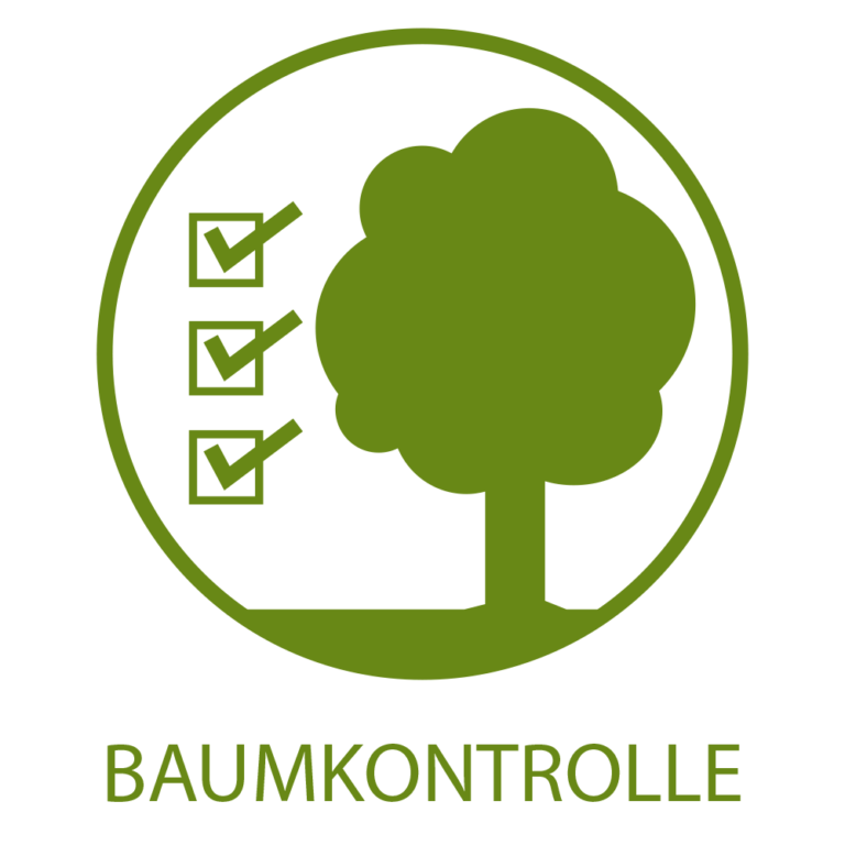 TreeTop Baumpflege GmbH Nürnberg – Baumpflege, Baumkontrolle, Baumfällungen, Baumgutachten ...