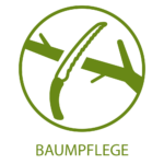 TreeTop Baumpflege GmbH Nürnberg – Baumpflege, Baumkontrolle, Baumfällungen, Baumgutachten ...