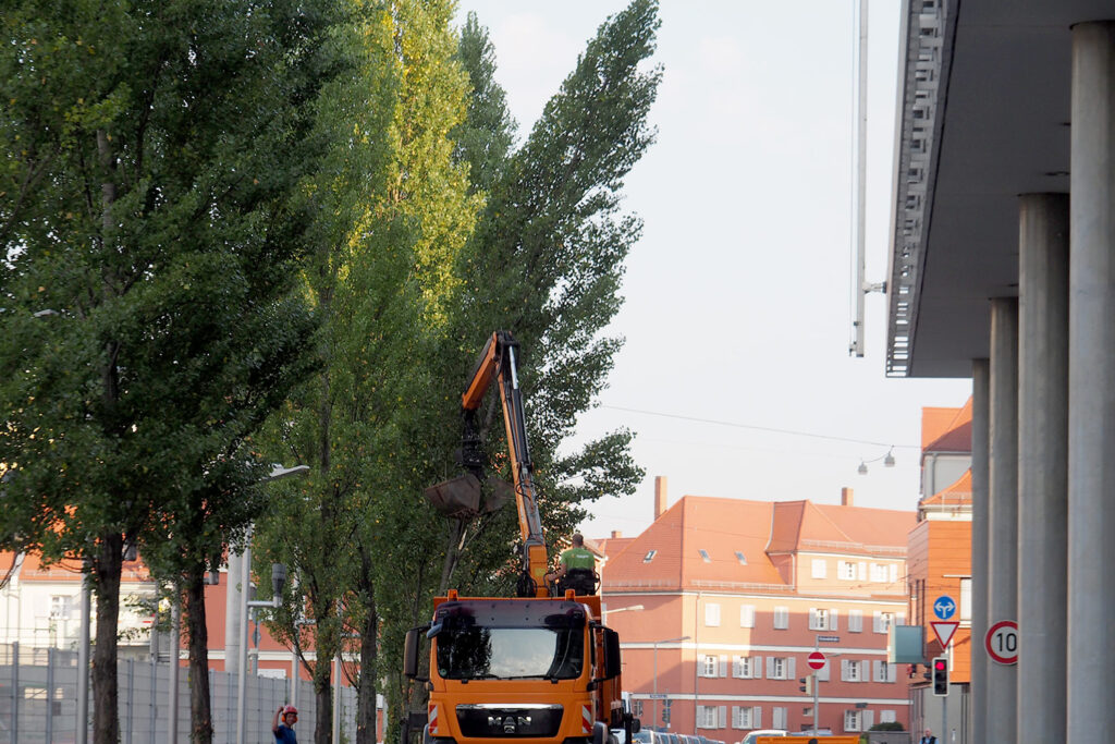 Galerie – TreeTop Baumpflege GmbH Nürnberg
