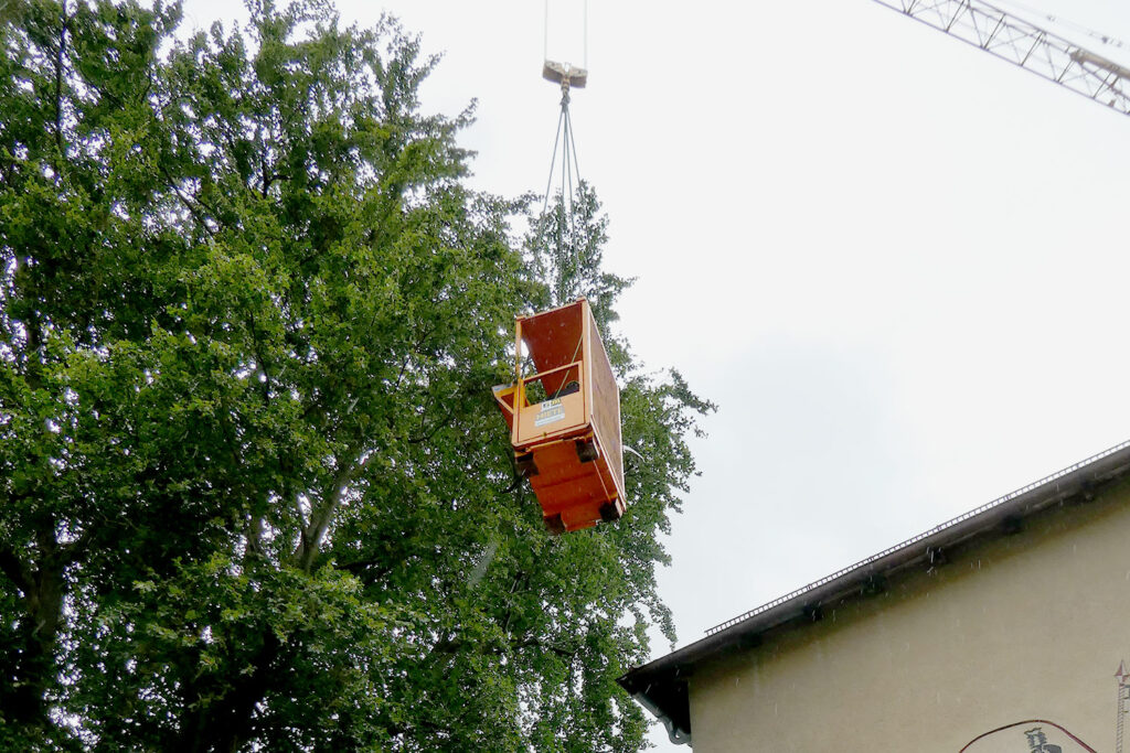Galerie – TreeTop Baumpflege GmbH Nürnberg