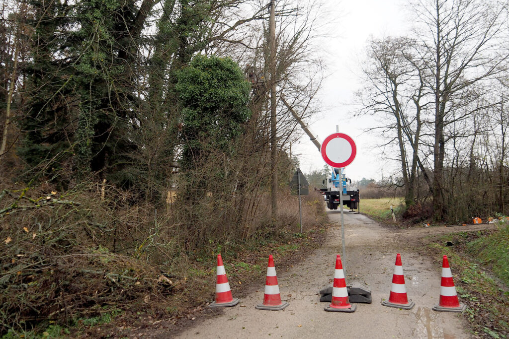 Galerie – TreeTop Baumpflege GmbH Nürnberg