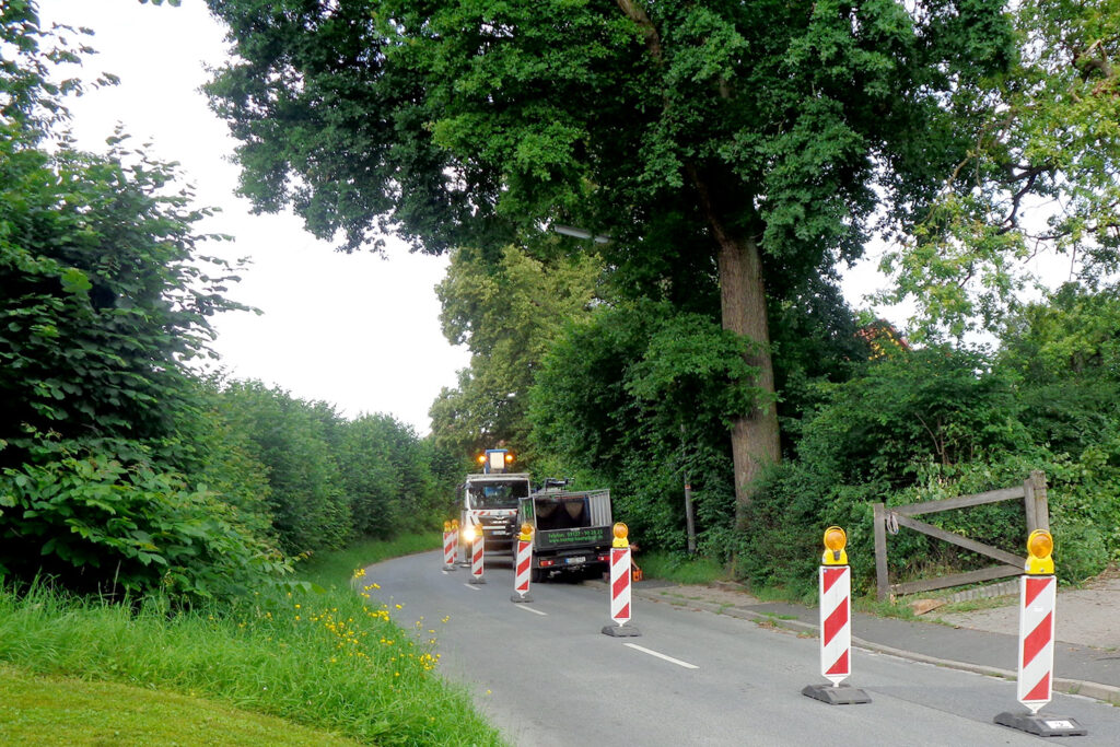 Galerie – TreeTop Baumpflege GmbH Nürnberg