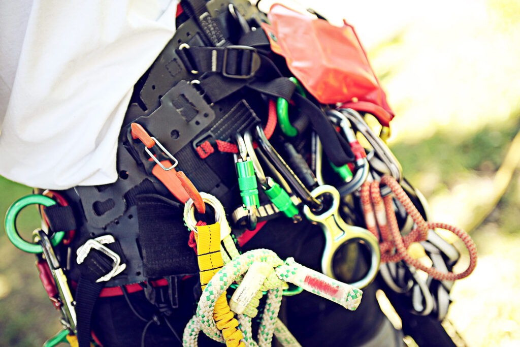 Galerie – TreeTop Baumpflege GmbH Nürnberg