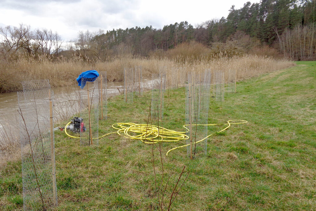 Galerie – TreeTop Baumpflege GmbH Nürnberg