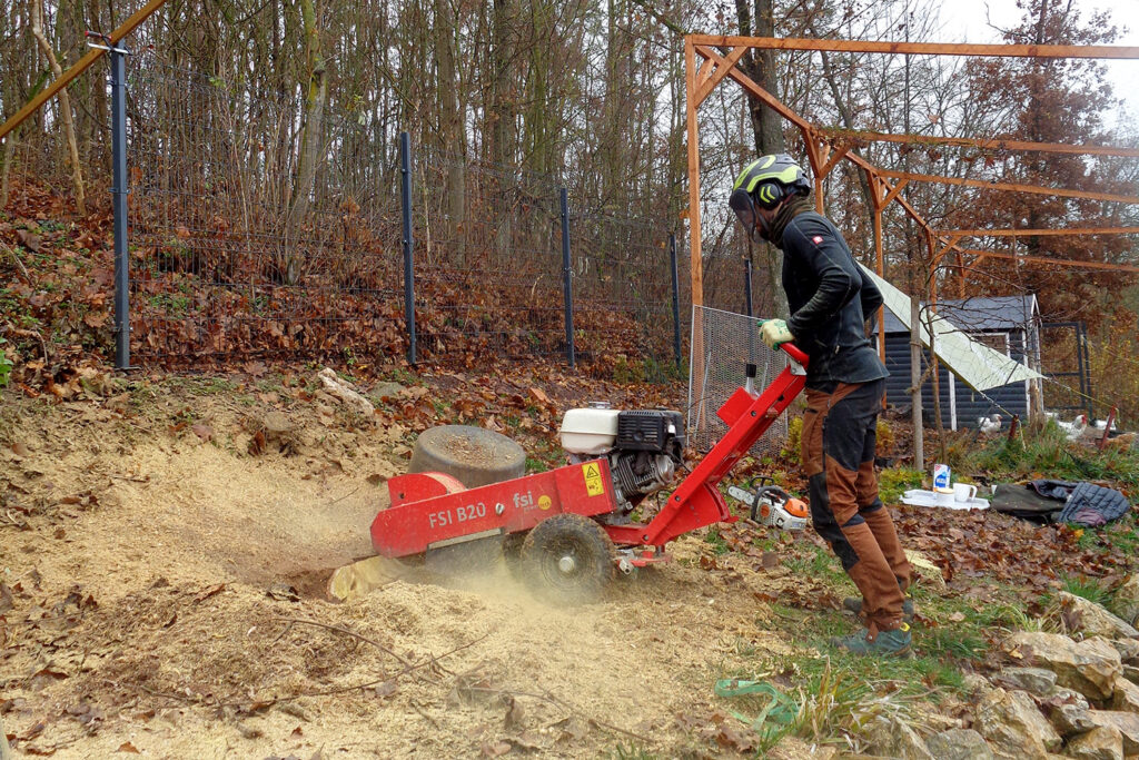 Galerie – TreeTop Baumpflege GmbH Nürnberg