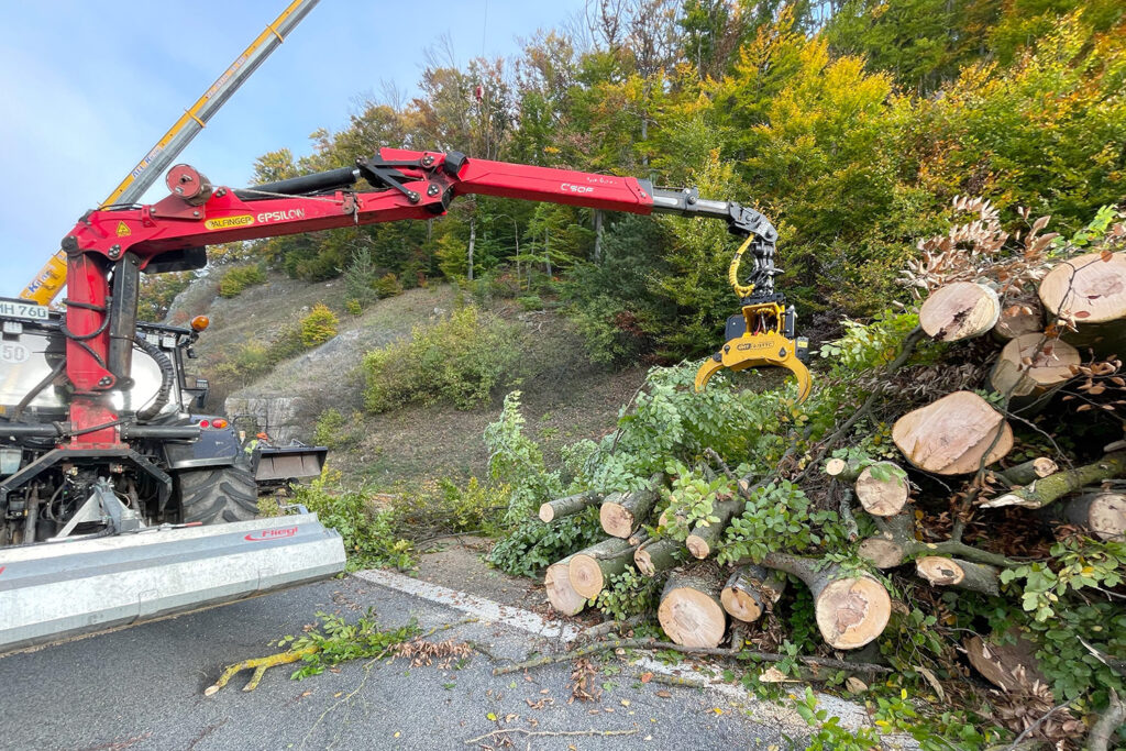 Entsorgung – TreeTop Baumpflege GmbH Nürnberg