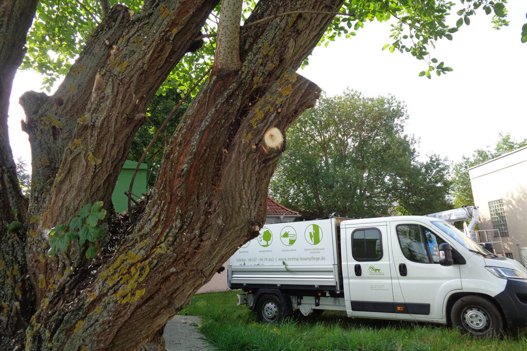 Entsorgung – TreeTop Baumpflege GmbH Nürnberg